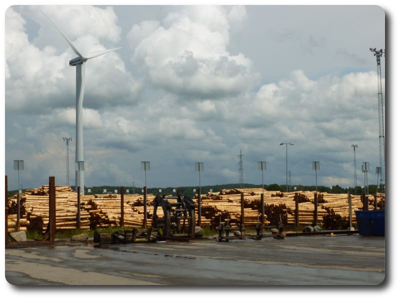 Visit to Sodra Timber in Sweden